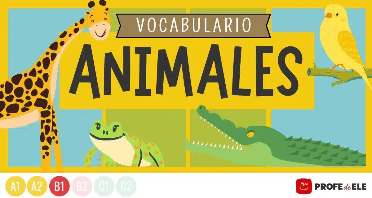 Vocabulario de animales en español: actividades para A1, A2 y B1