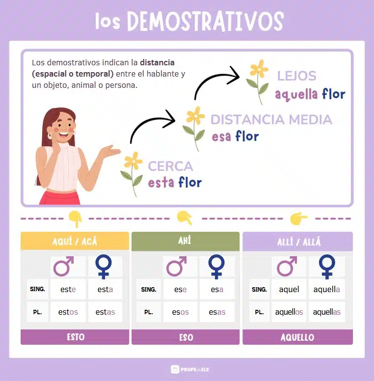 Tipos De Adjetivos Determinativos Demostrativos Ejercicios - Infoupdate.org