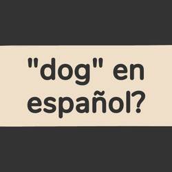 Frases útiles para la clase de español - ProfedeELE